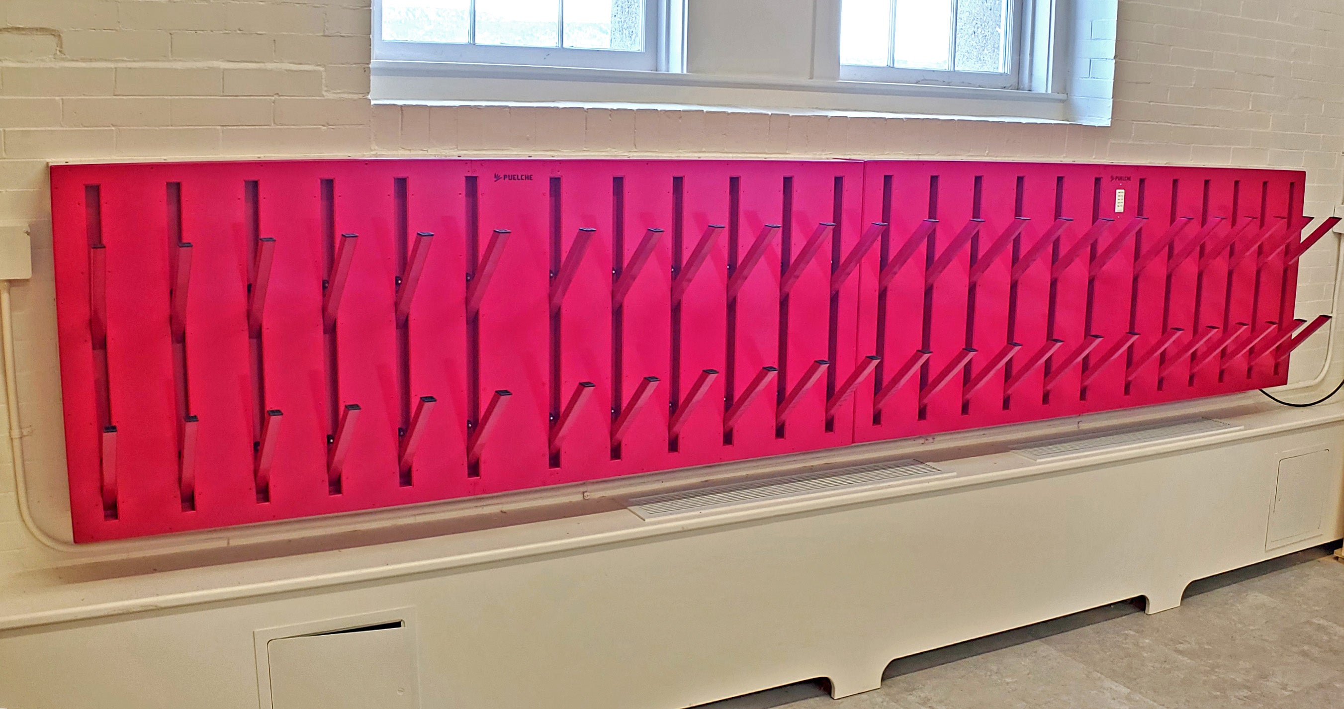 Custom Team Locker Room Shoe and Glove Dryers – Puelche Dryer